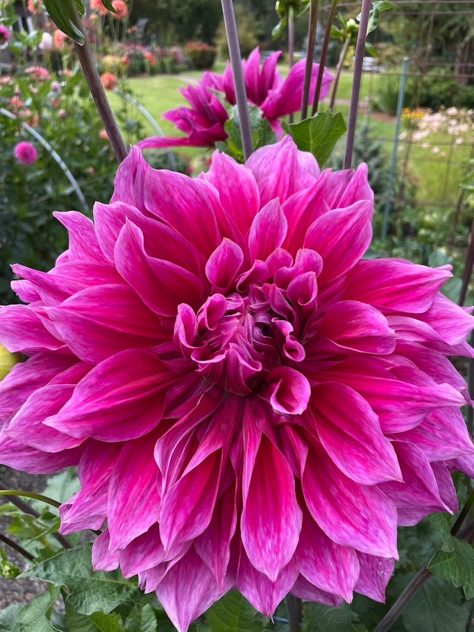 Emory Paul – Two Cedars Farm